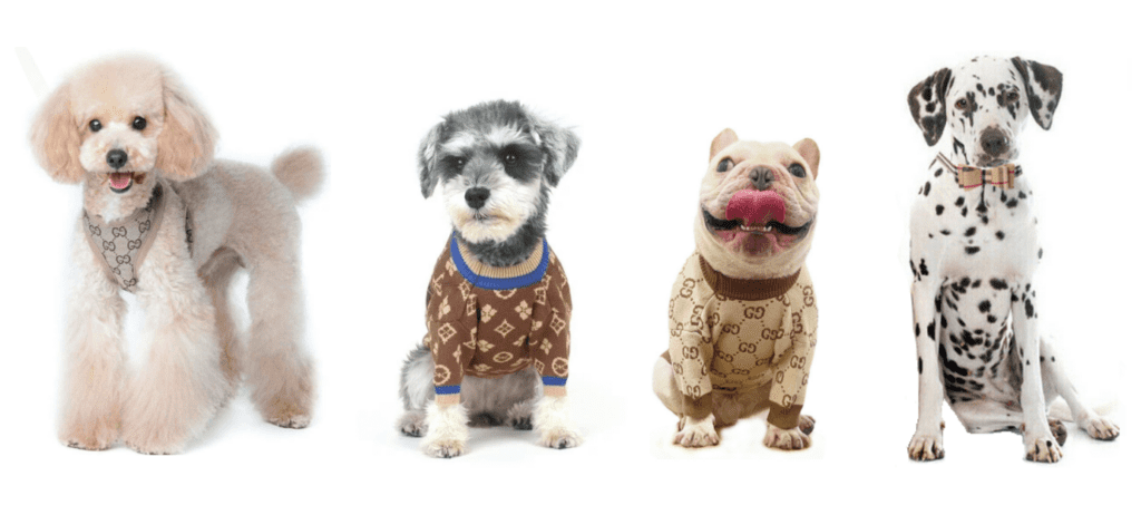 Home - All Pet Things