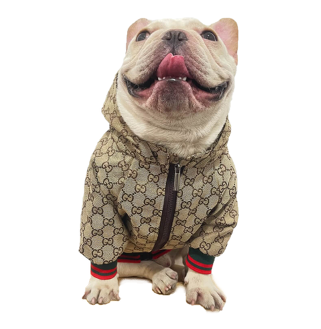 Pucci Monogram Brown and Tan Winter Dog Jacket - All Pet Things